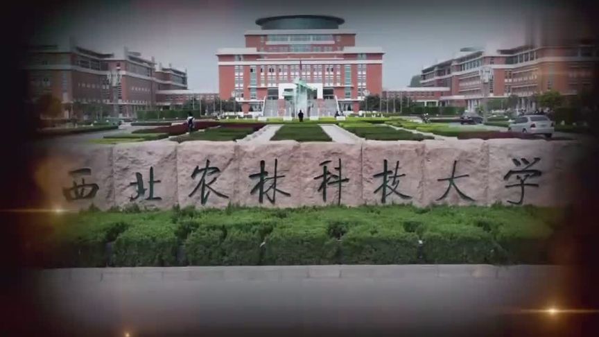 西北农林科技大学 学校宣传片