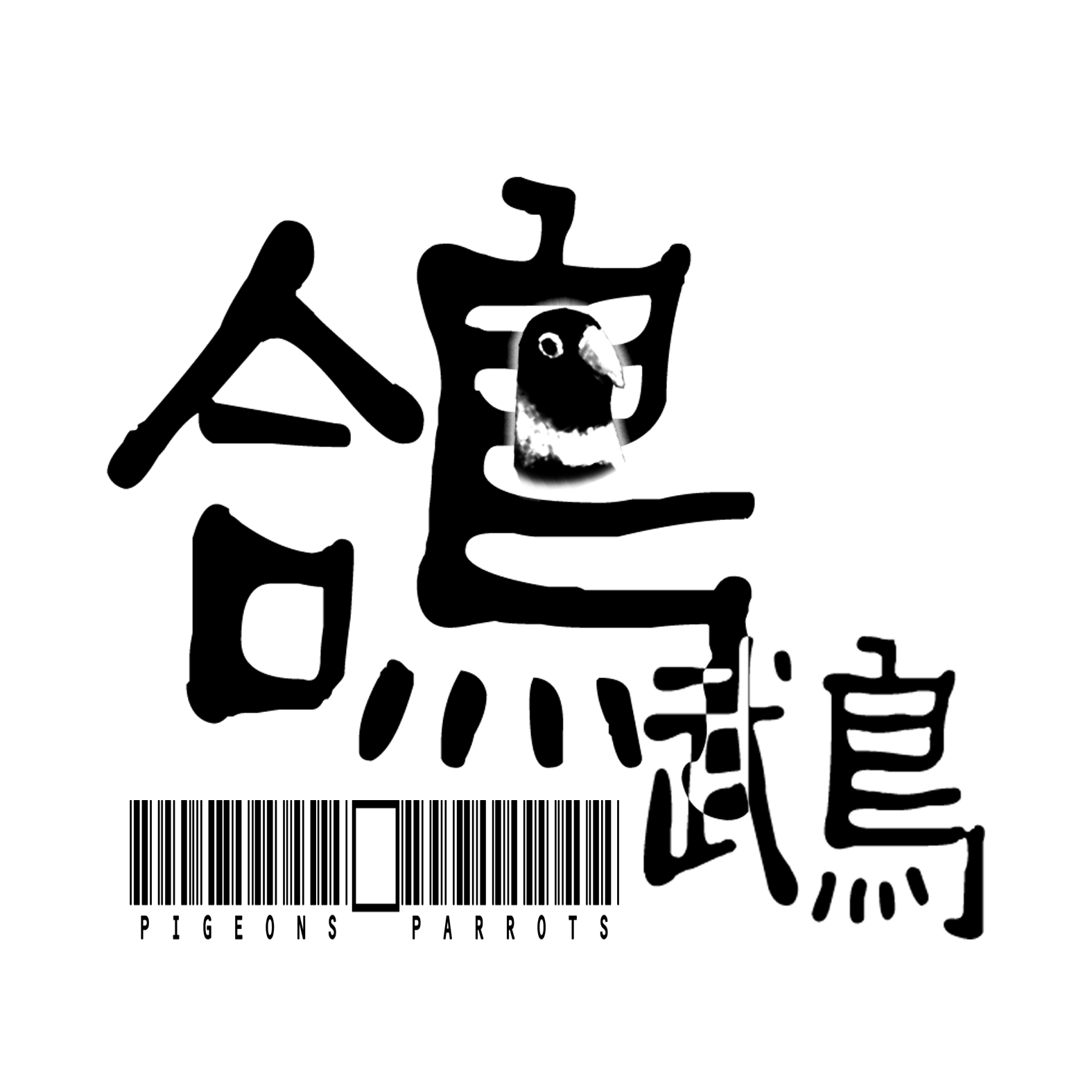 鸽鹉live_大杨叔 