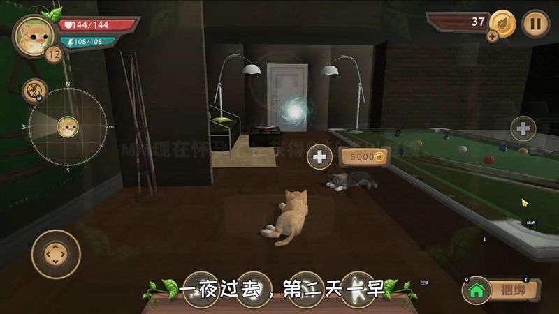 猫咪模拟器:流浪猫为媳妇准备营养食物,因为它要当爸爸了!