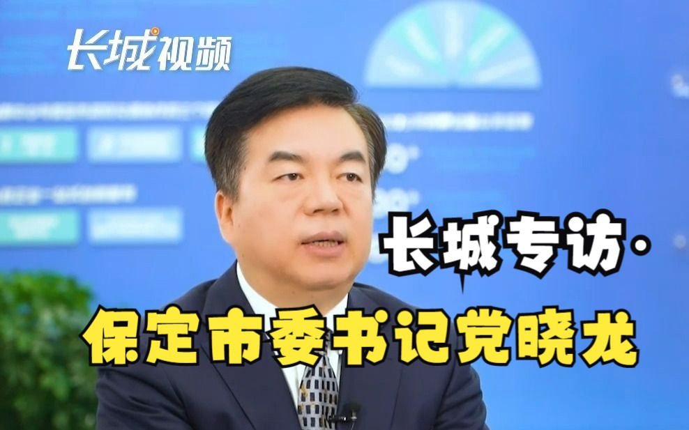 稳经济,促发展,看行动·长城专访|党晓龙:全力构建京雄保一体化发展新...