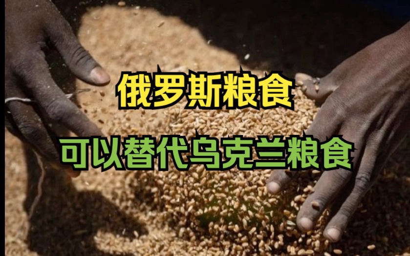 帕特鲁舍夫:俄在受制裁情况下仍向非洲运送超过1200万吨粮食