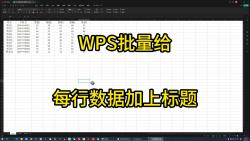 6-24WPS批量给每行数据加上标题