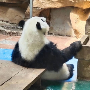 秦天演绎 