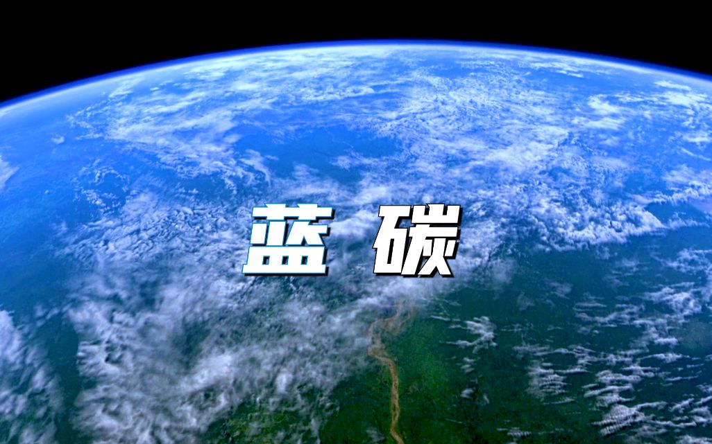 秒懂蓝碳,你get了吗?