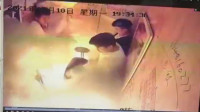 太恐怖了!成都居民推电动车进电梯突然起火,5人被烧伤包括一名婴儿