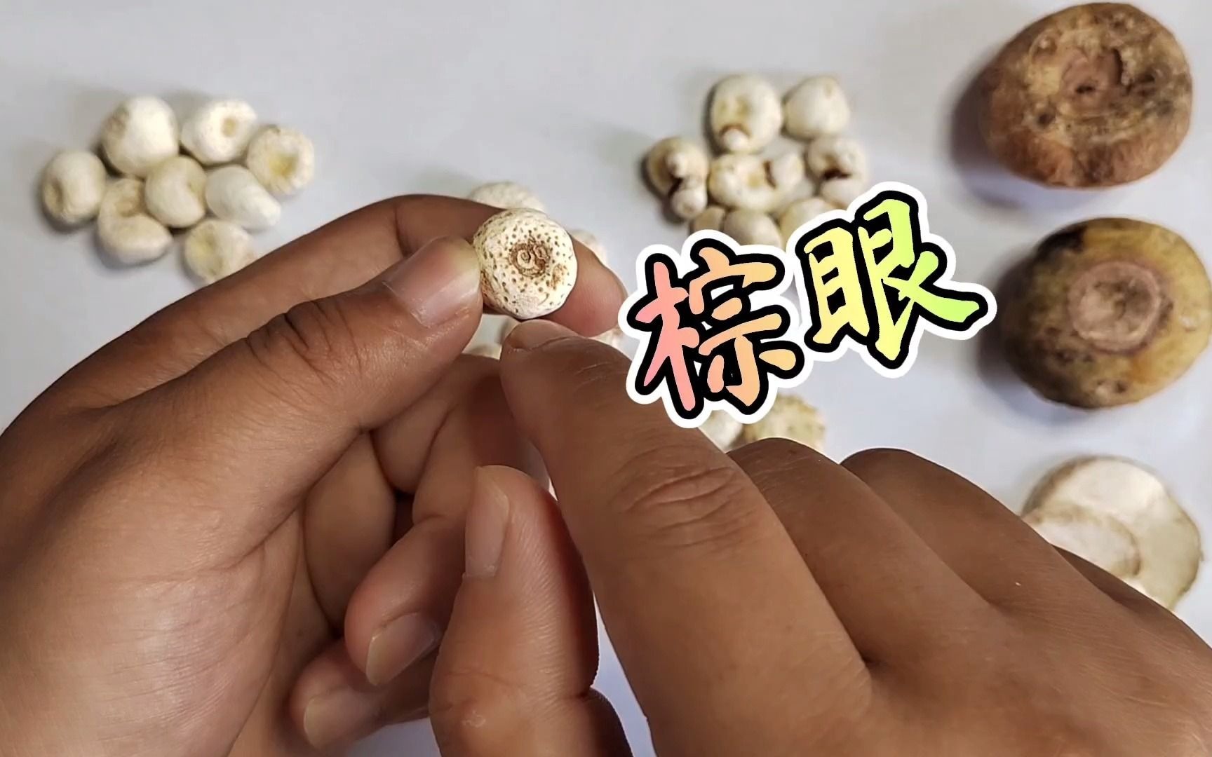 大锤说中药-八分钟学会半夏,水半夏,虎掌南星及天南星的鉴别