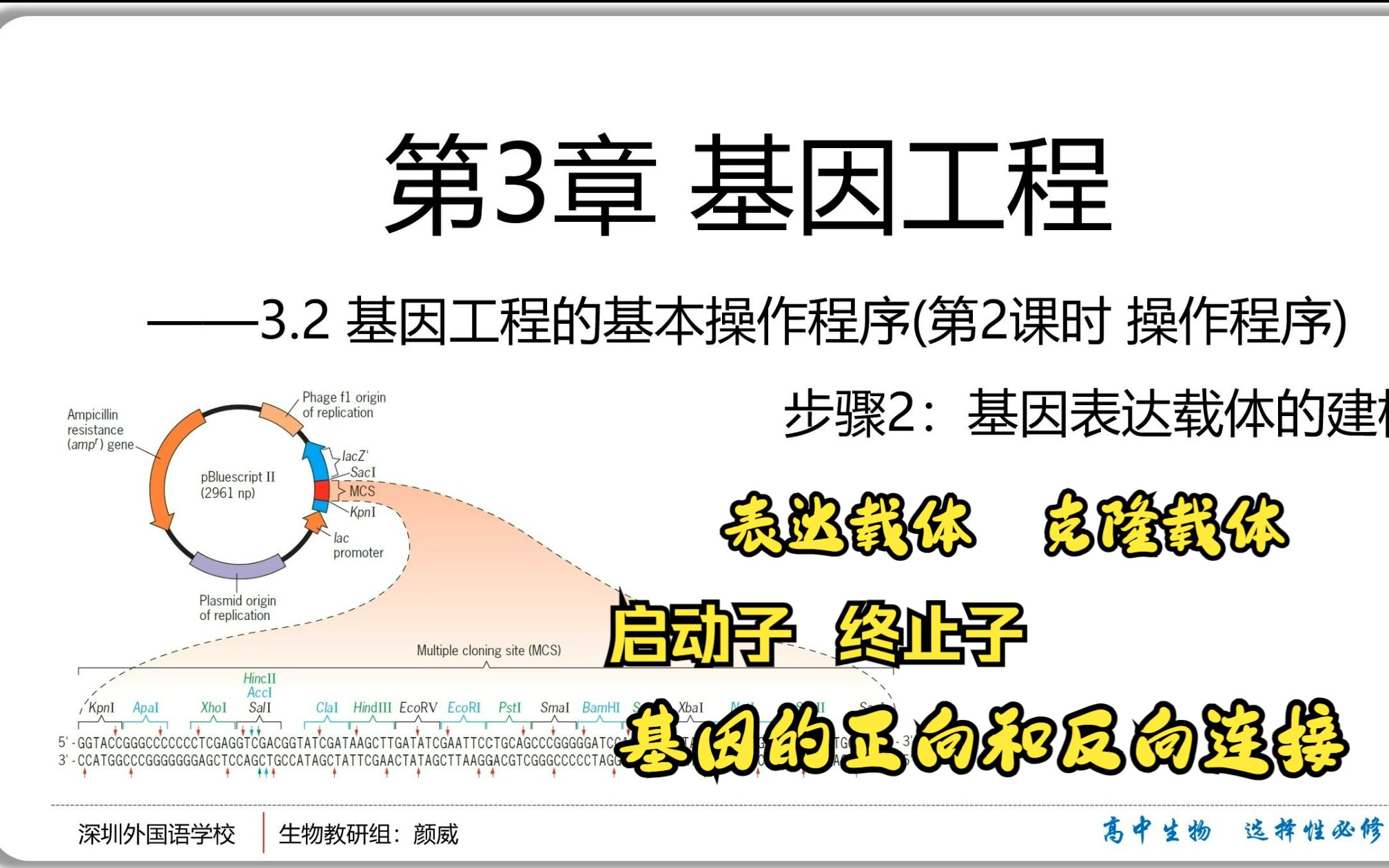 ...3.2.2基因工程的基本操作程序 第2课时 基因表达载体的建构(具体...