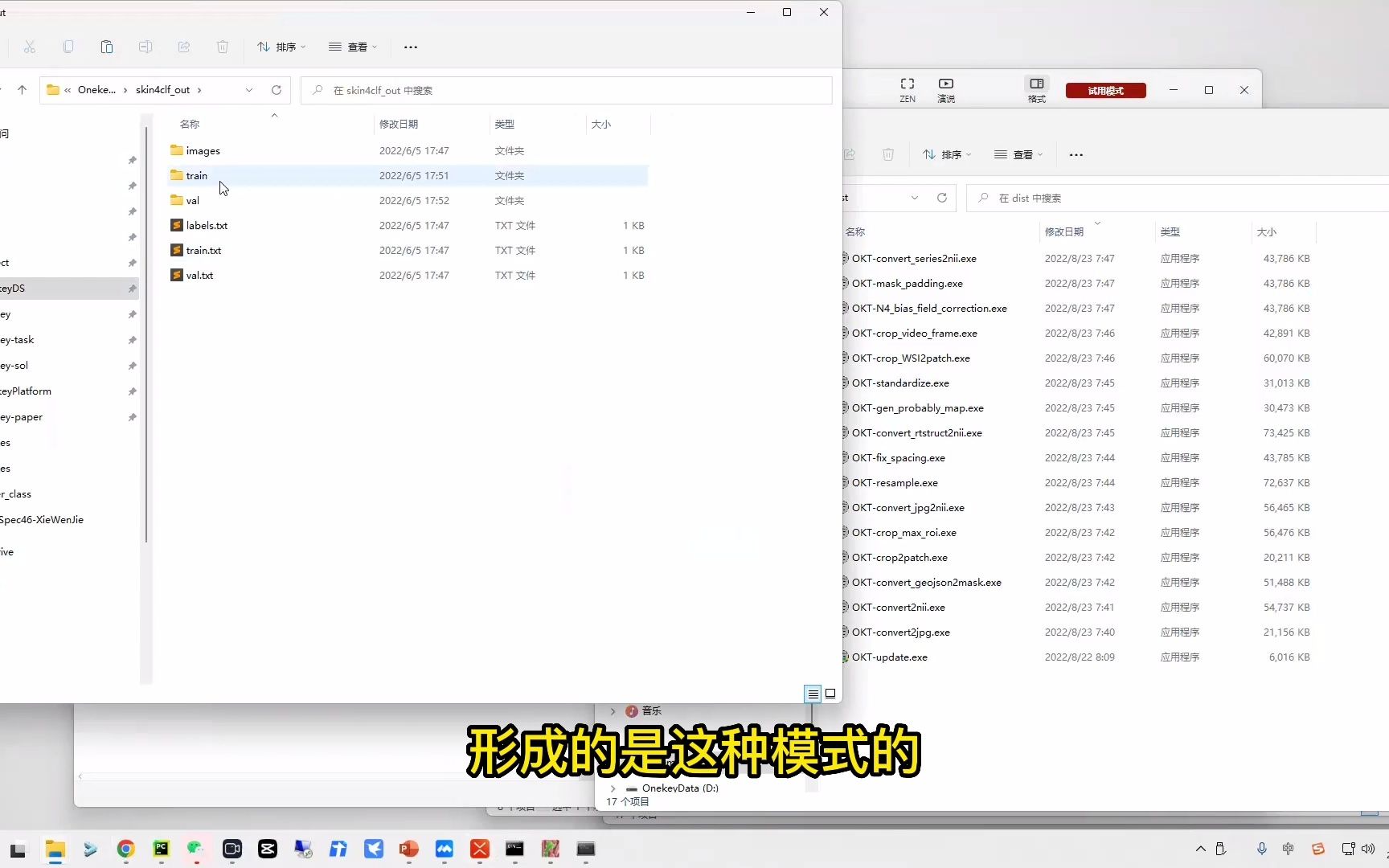 通过影像组学工具如何快速实现尘肺病数据标注和分类