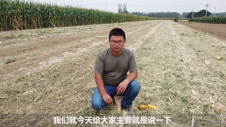 种植小麦,播种前整地很关键,想增产,先跟专家正确整地