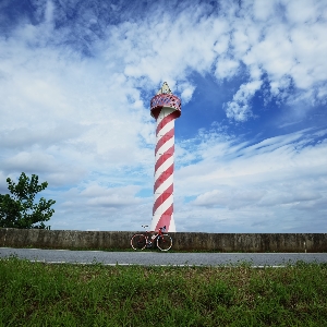 山地情怀竹青 