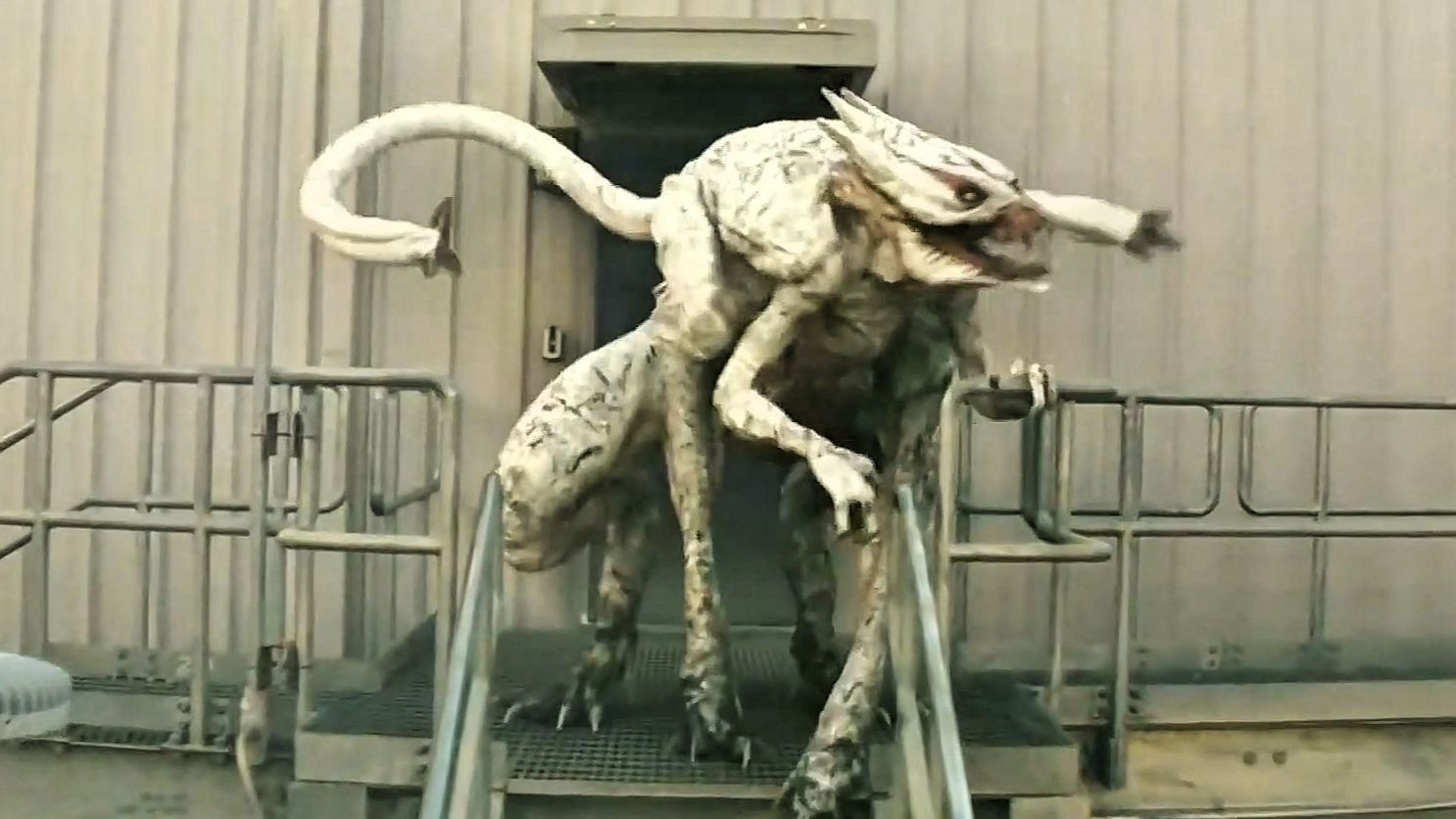 这是宇宙中最完美的生物兵器,三年间将人类屠戮殆尽