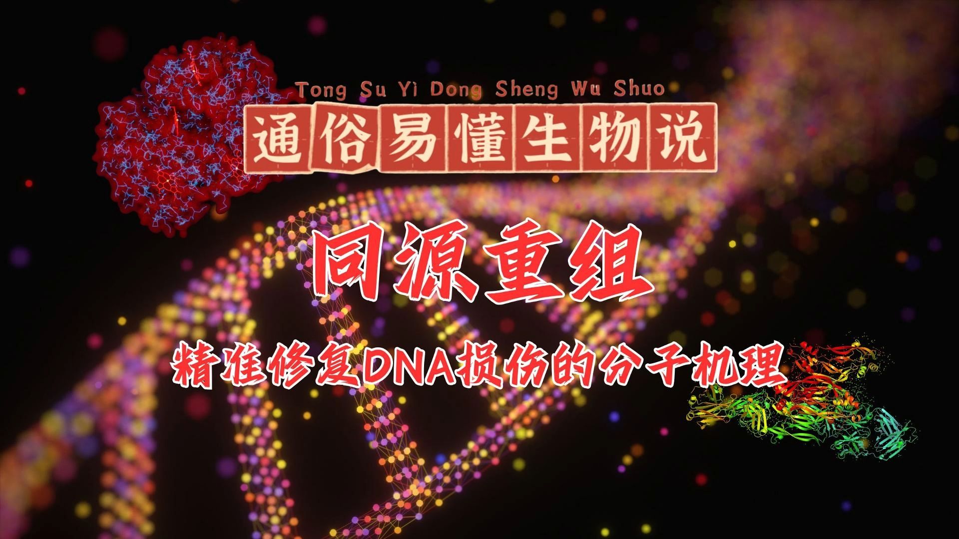 动态演示同源重组:精准修复DNA损伤的分子机理
