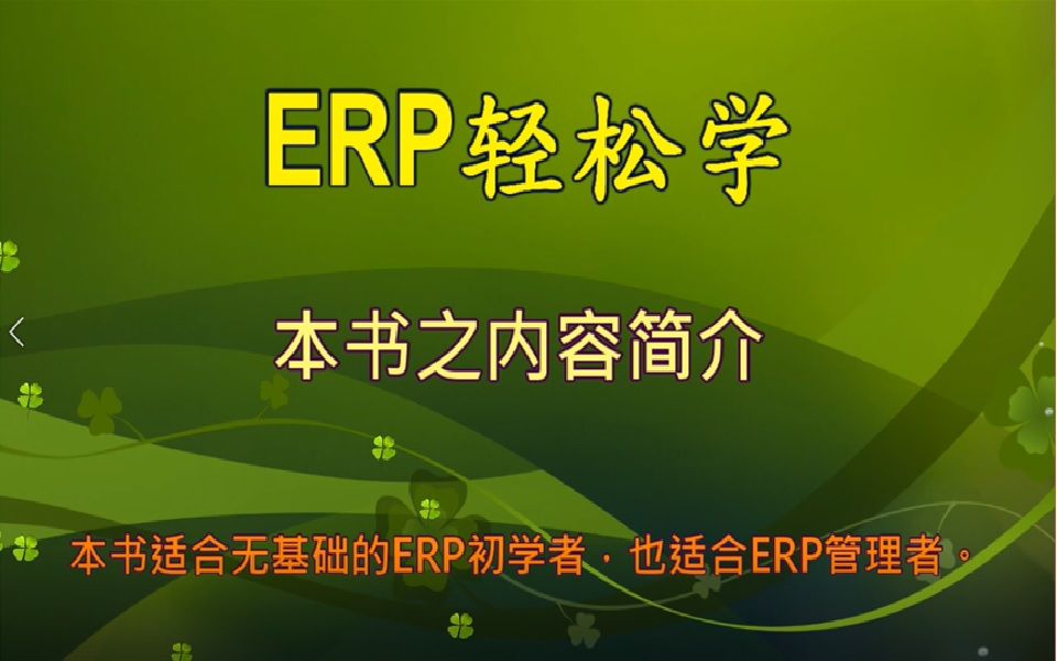 ERP轻松学-内容简介