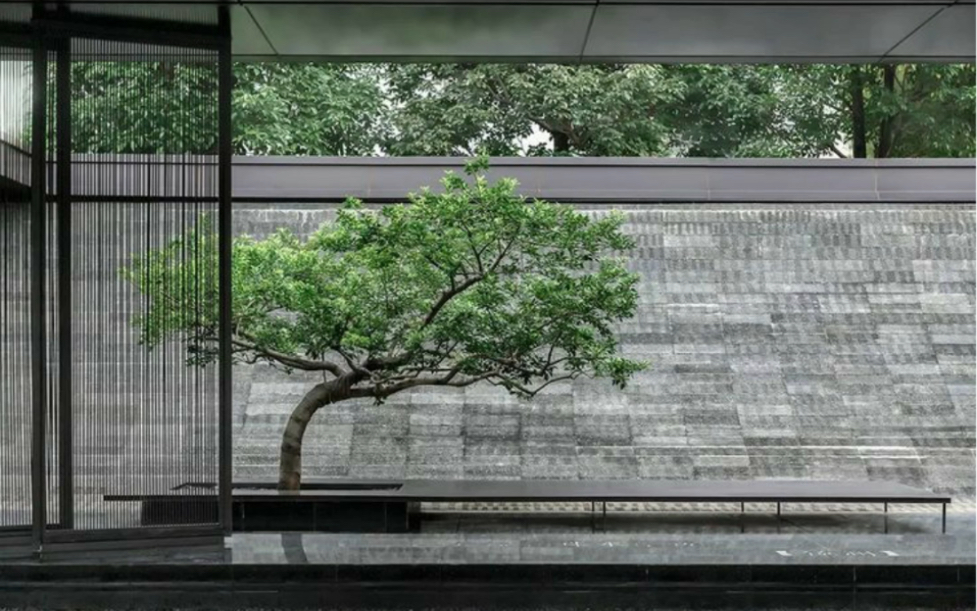 【景观节点系列-中庭节点】中庭内孤植一棵造型树,成为整个庭院的...