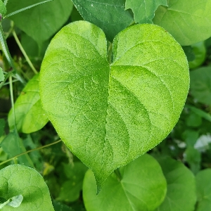 王老师阅读课堂 