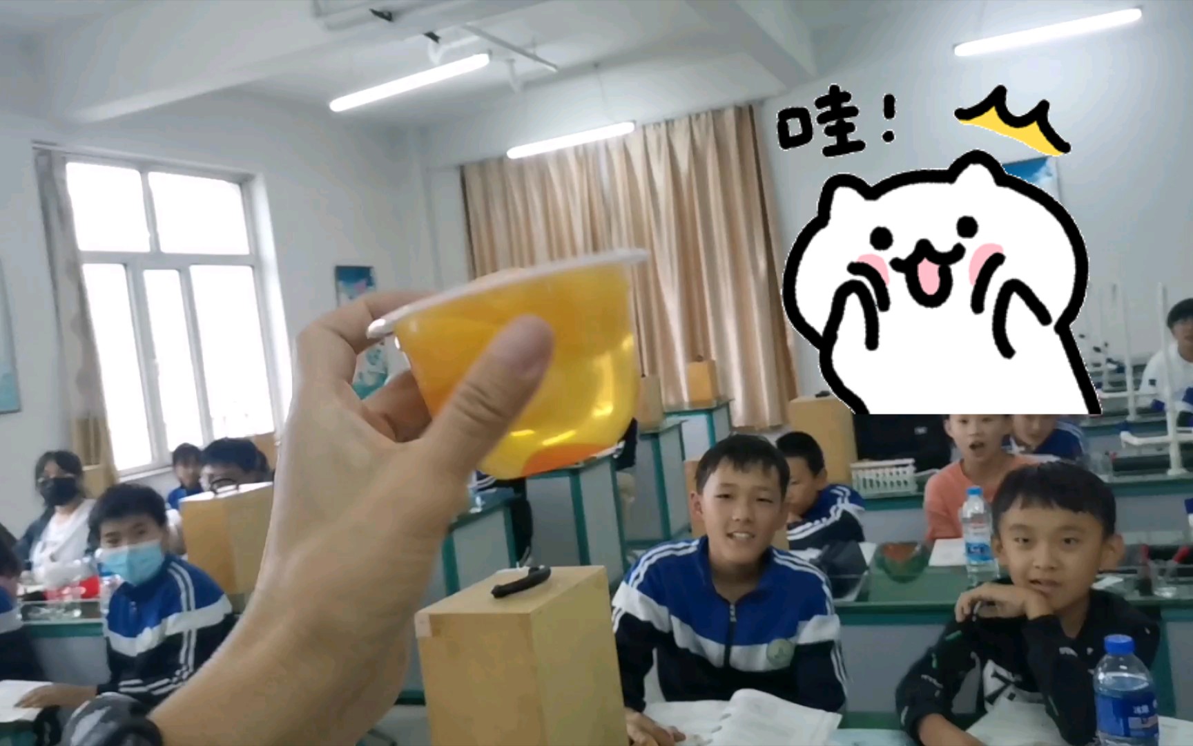 【课堂实录】设计并制作动植物细胞模型 |带孩子们在“吃中学”“做...