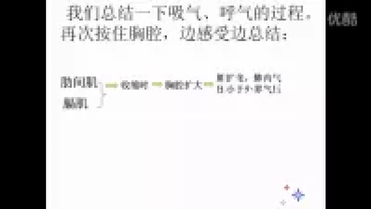 发生在肺内的气体交换