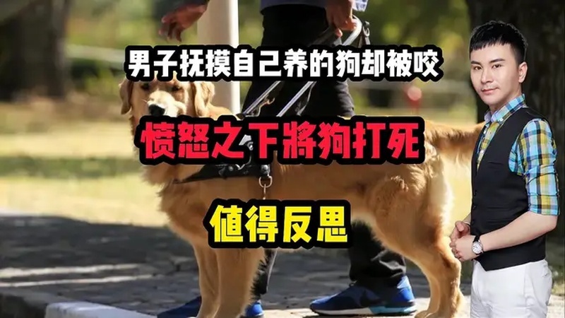 男子抚摸自己养的狗却被咬!愤怒之下,将狗打死!值得反思