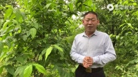 有机肥在农作物中最主要的两点作用
