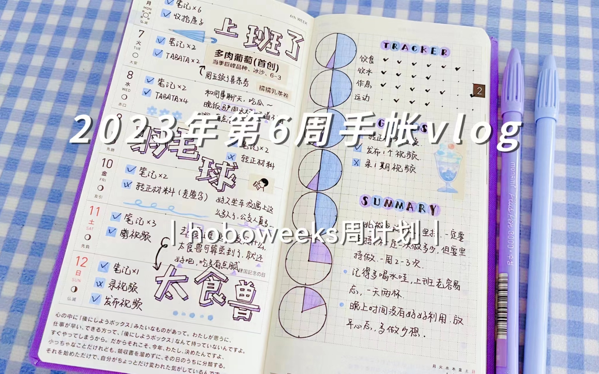 第6周手帐vlog | weeks周计划|排版教程