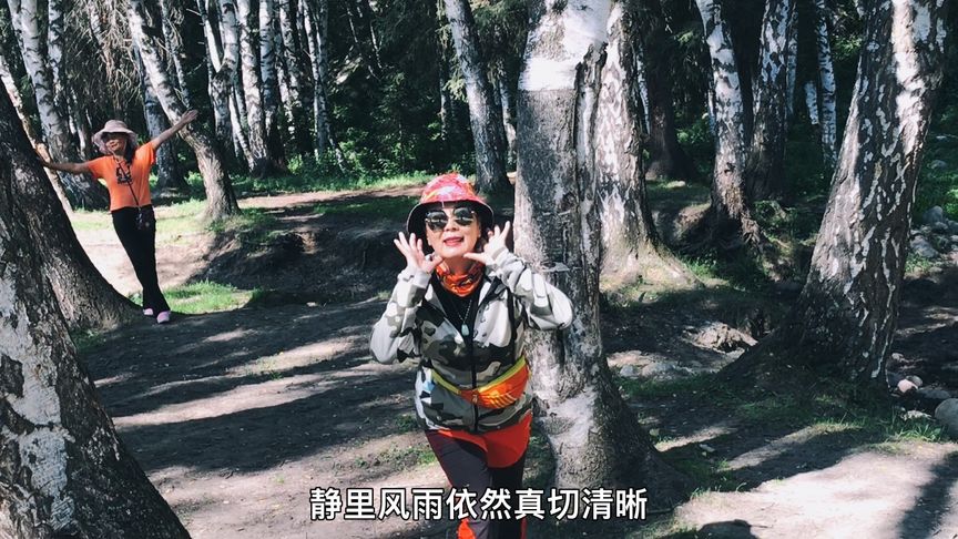 大美新疆禾木景区白桦林。太有意境感了!