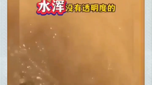 鱼塘净水材料药剂,净化鱼塘水中杂质,絮凝沉淀污浊物,改底处理,鱼虾...