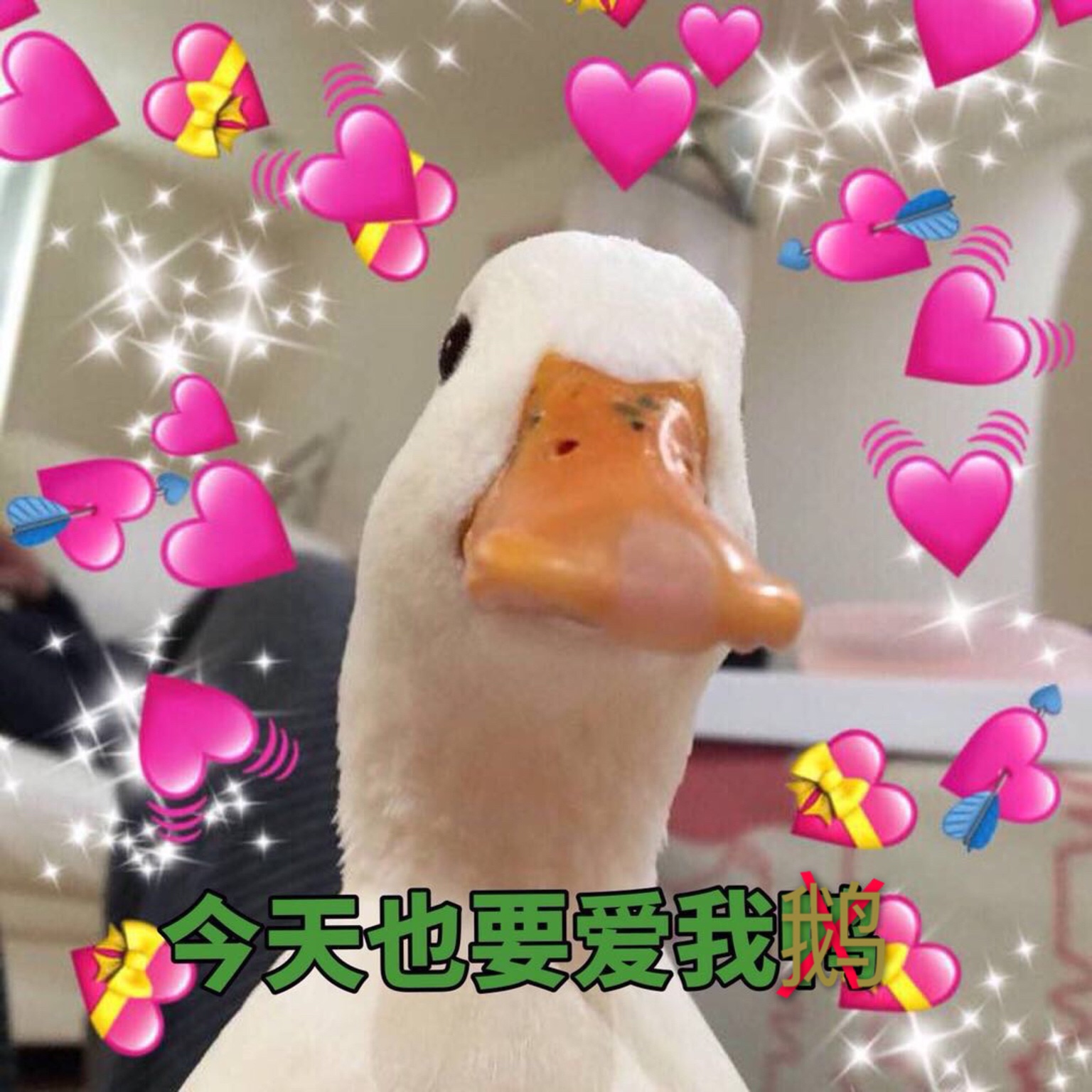Salt一只鹅 