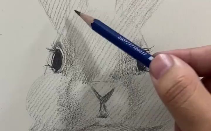超级简单小兔子的画法～