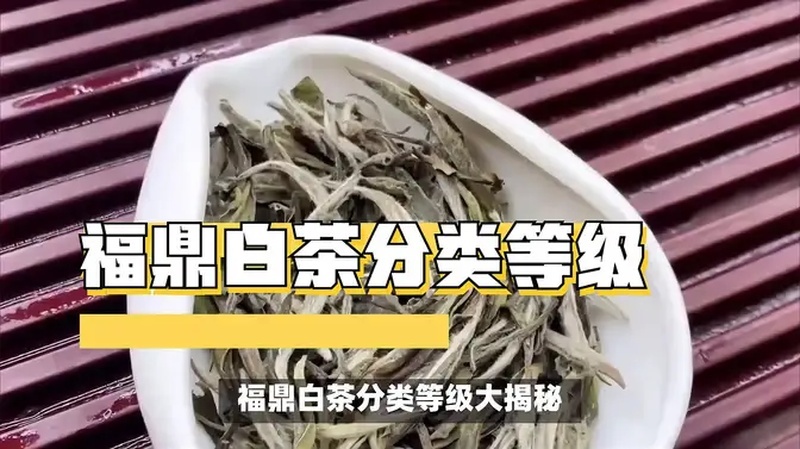 福鼎白茶分类等级大揭秘:一篇文章带你全面了解白茶的世界!