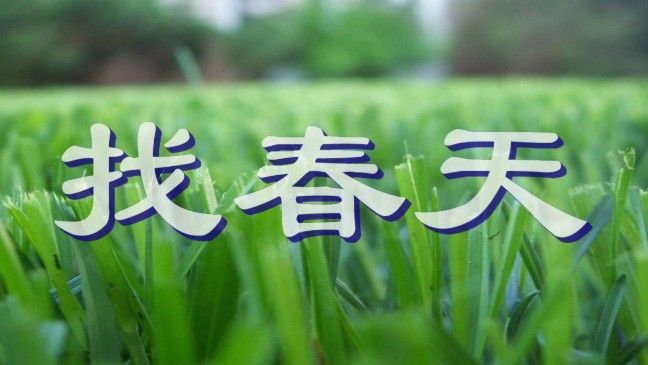龙凤胎绮绮的作文～找春天