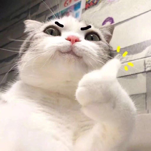 小诸不是小猪 