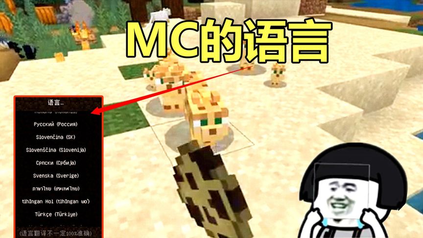 我的世界:你知道mc内置语言吗?想看懂它,把屏幕倒过来就可以了