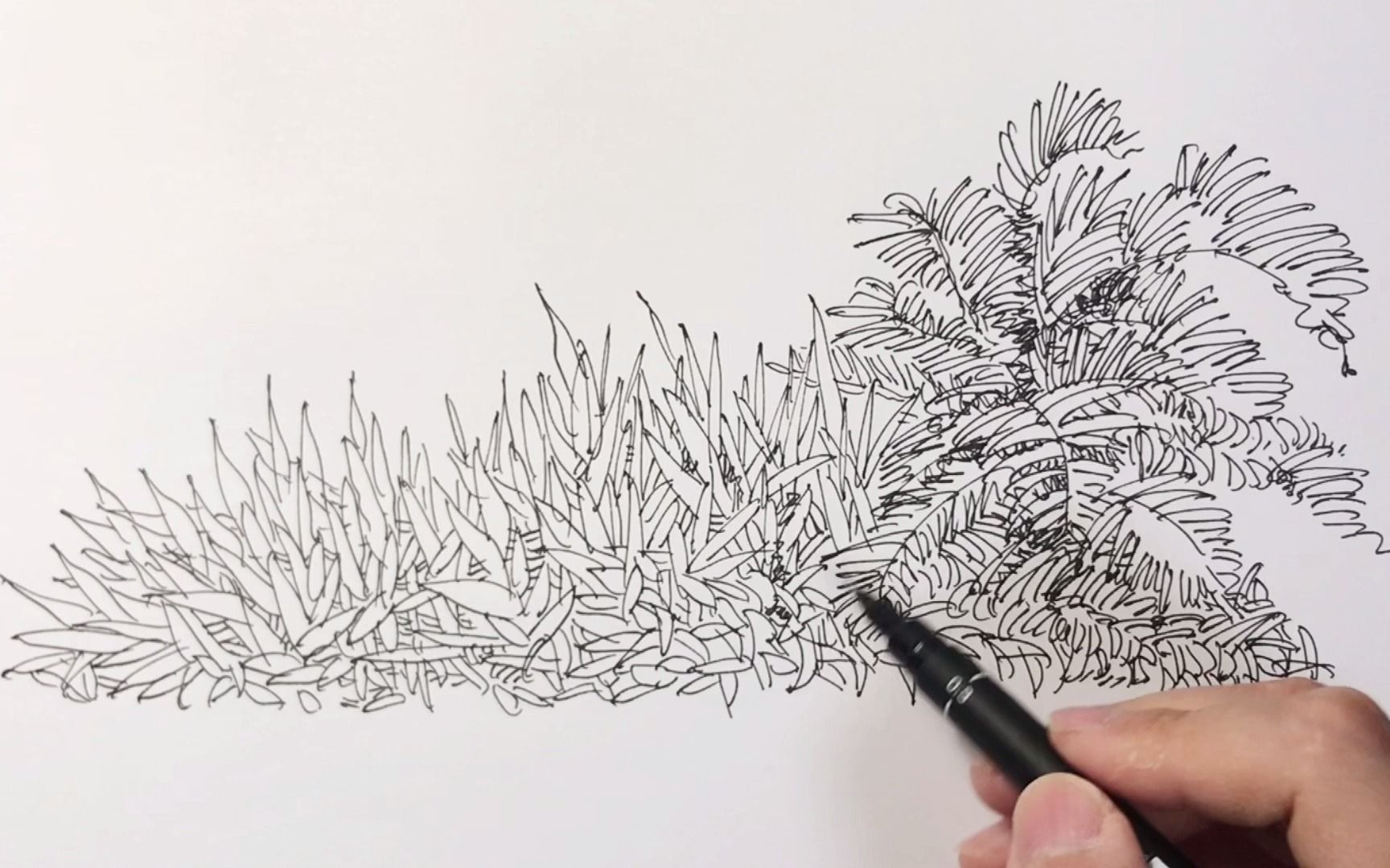 通过一根根线条疏密排列体现明暗#景观手绘#钢笔画#室内设计#绘画