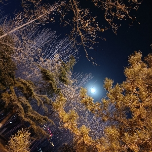 美丽的阿英 