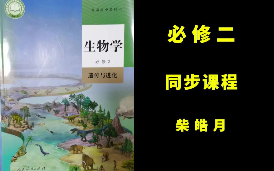 高中生物必修二同步全集 2022新版 人教版 新教材 高一生物必修二...