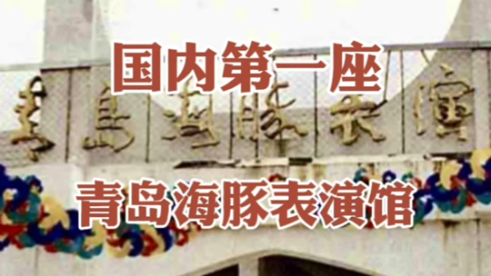 青岛海豚表演馆,当时的国内第一曾经一票难求,大家还记得吗