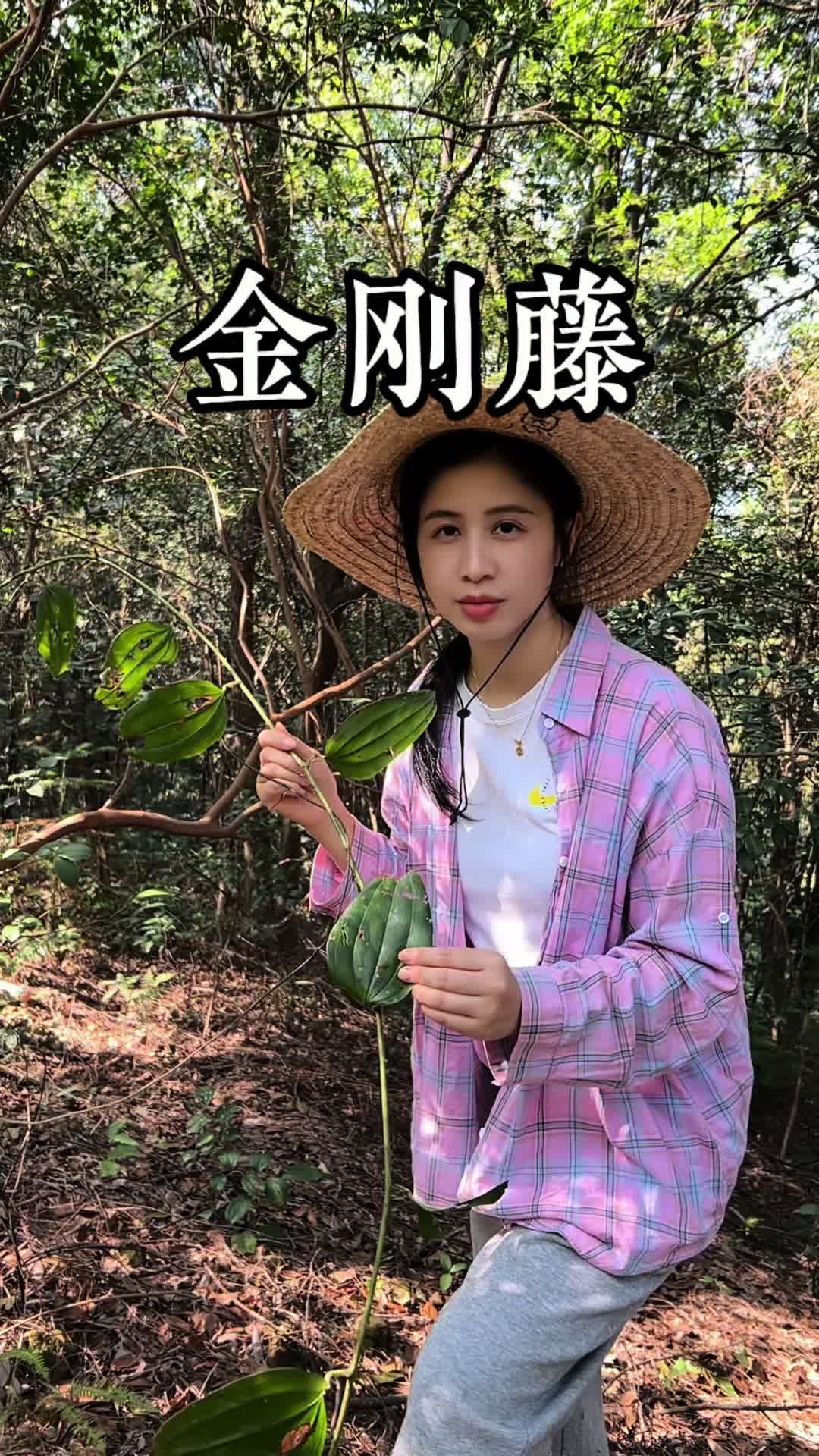 金刚藤#金刚藤#山货#三农 #抖音新农人