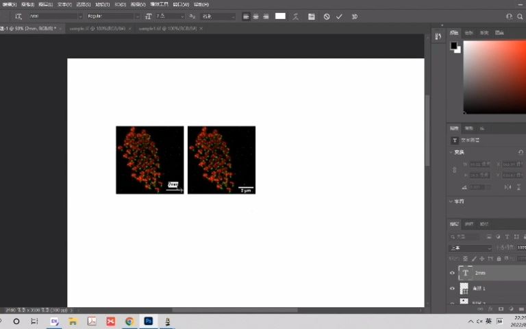参考一篇PNAS文章,用imageJ和photoshop软件处理免疫荧光图片