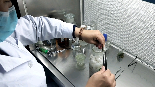 学校组织培养实验