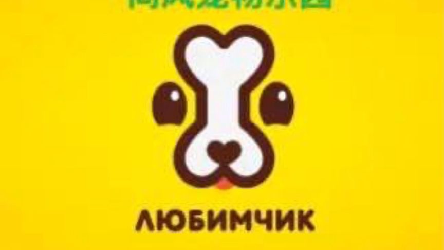 宠物狗大全我已经整理出来了