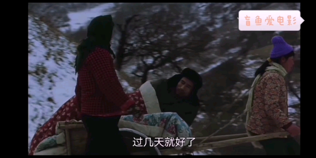 【影视剪辑】法律电影解说|5分钟看电影|秋菊打官司