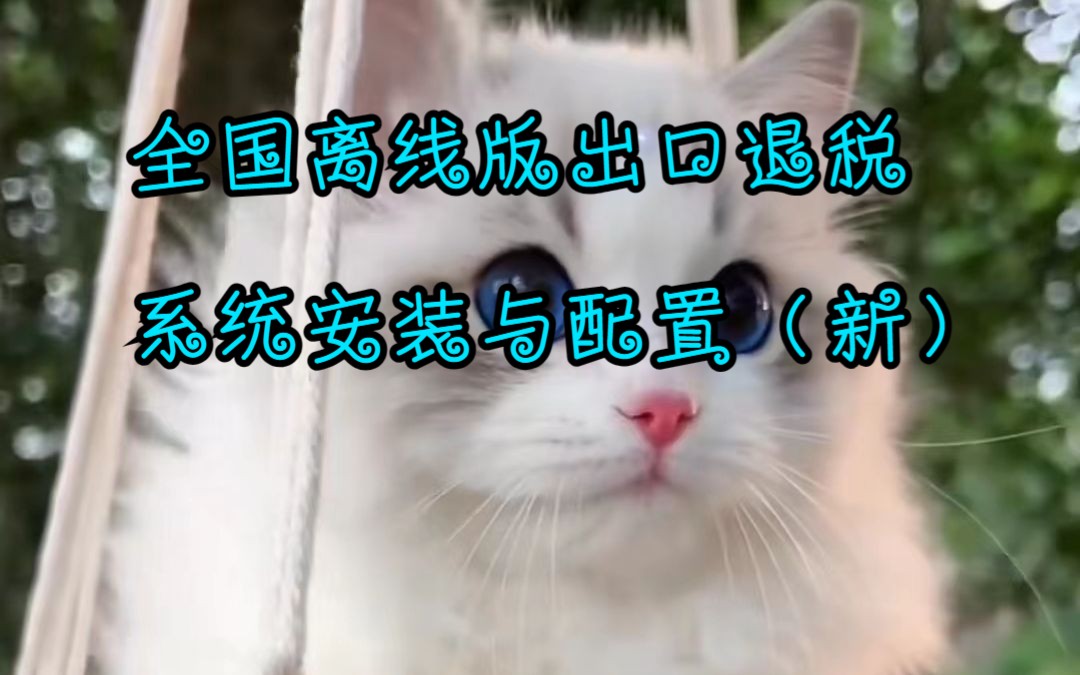 22、全国离线版出口退税系统安装与配置(新)