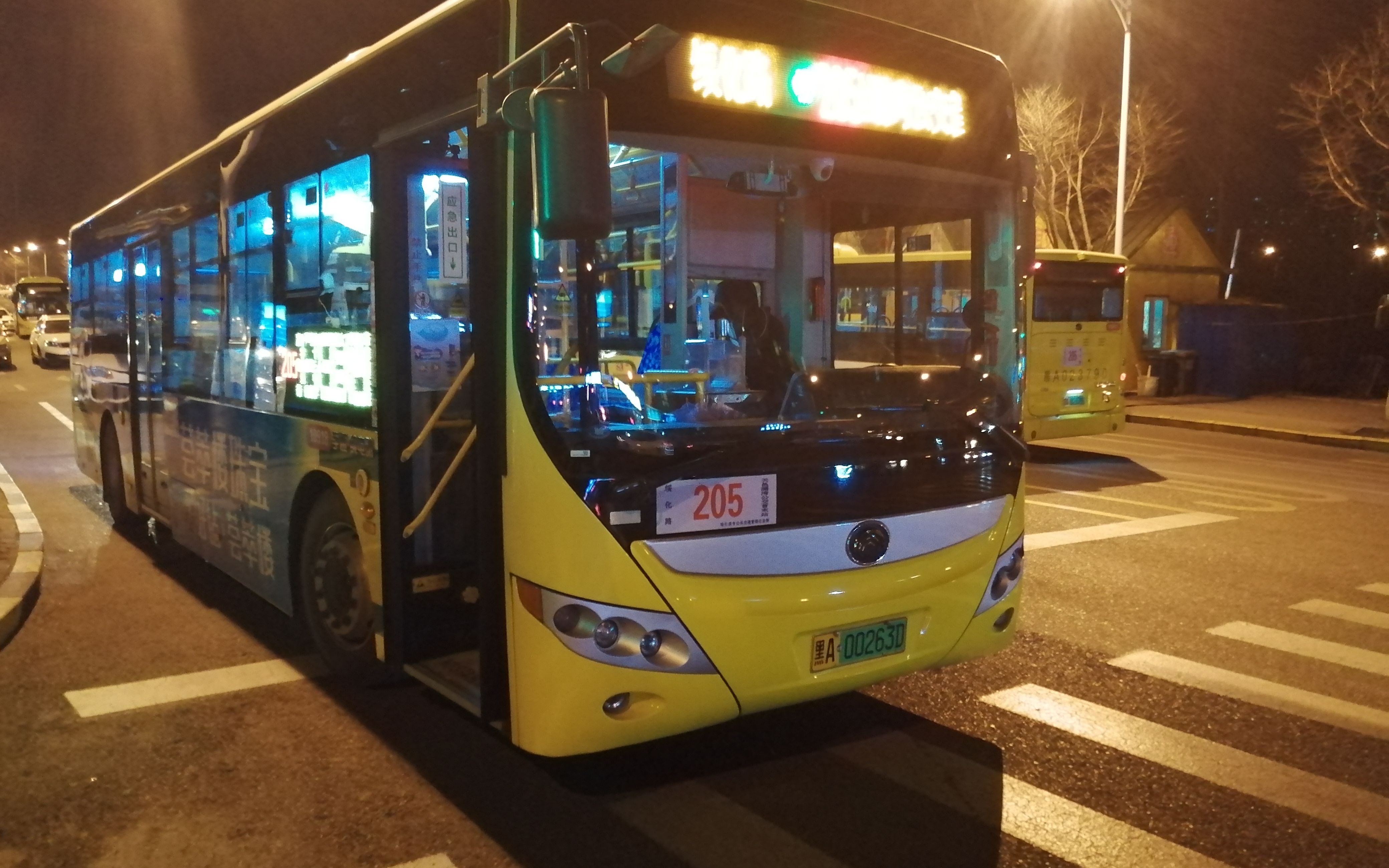 【冰城夜景POV】哈尔滨公交205路(天邑澜湾公交首末站-绥化路)第一...