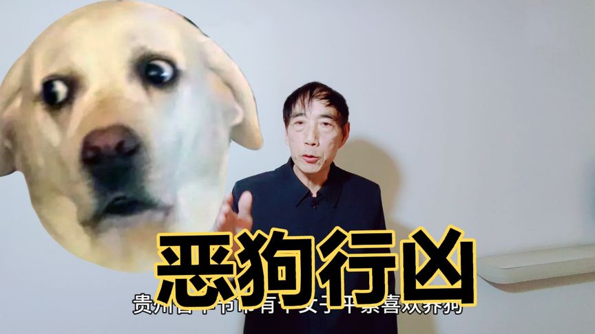 两条大狗疯狂撕咬小狗,致死小狗死亡,大狗主人表示愿意赔偿