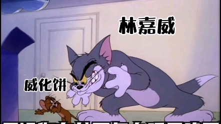 这是一条给威化饼们看的视频!hhhhhhhhhhhhh