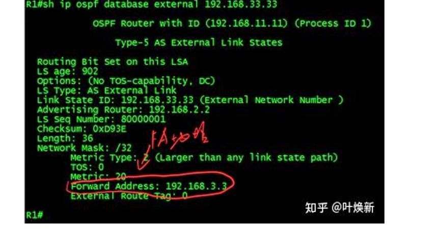 OSPF LSA详解(LSA4 LSA5 LSA7)和其他内容