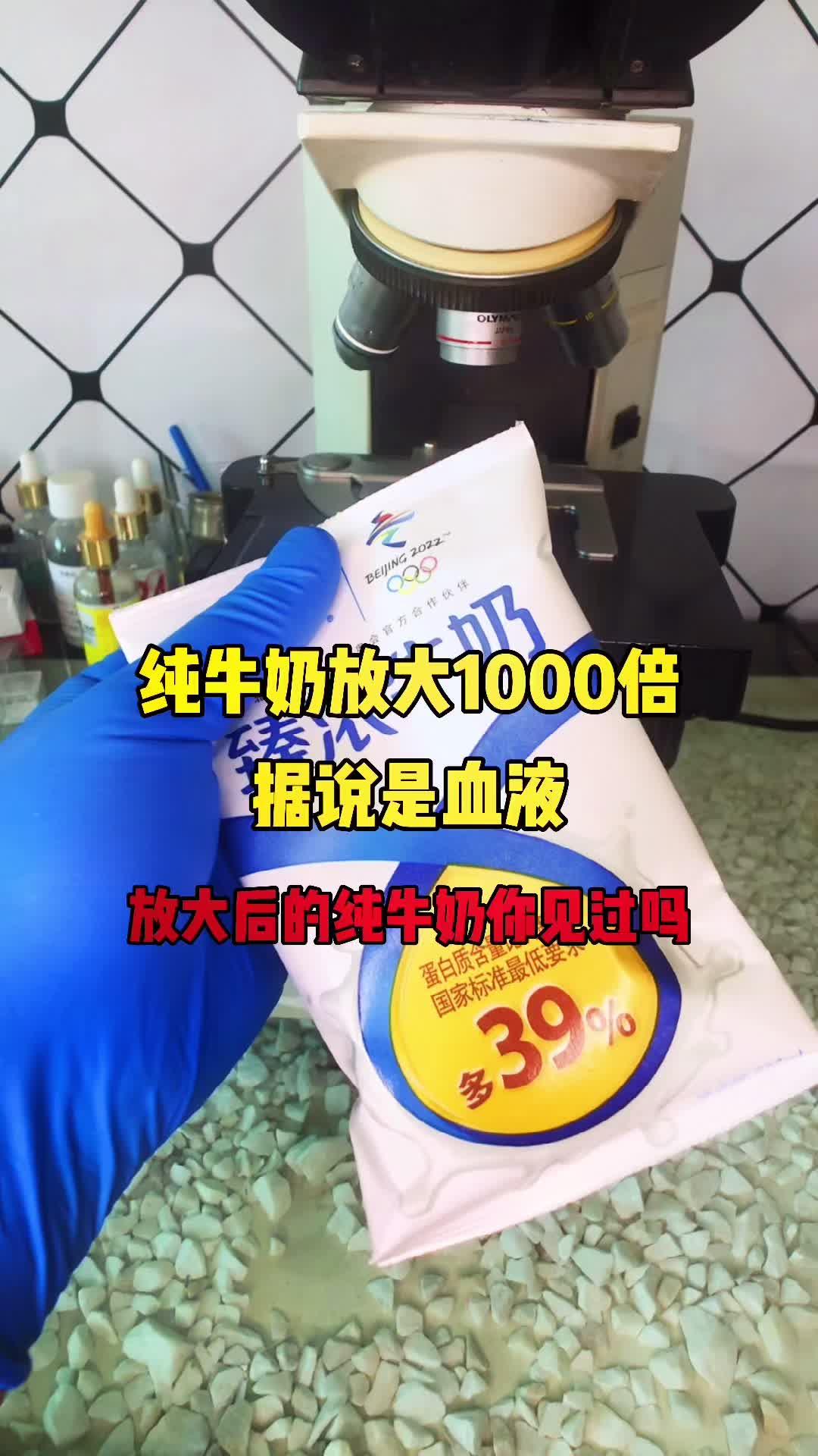 纯牛奶放大,细菌都放假了显微镜下的世界 牛奶