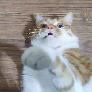 二次容 