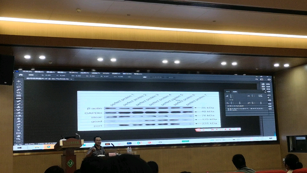 论文图片插入&题注