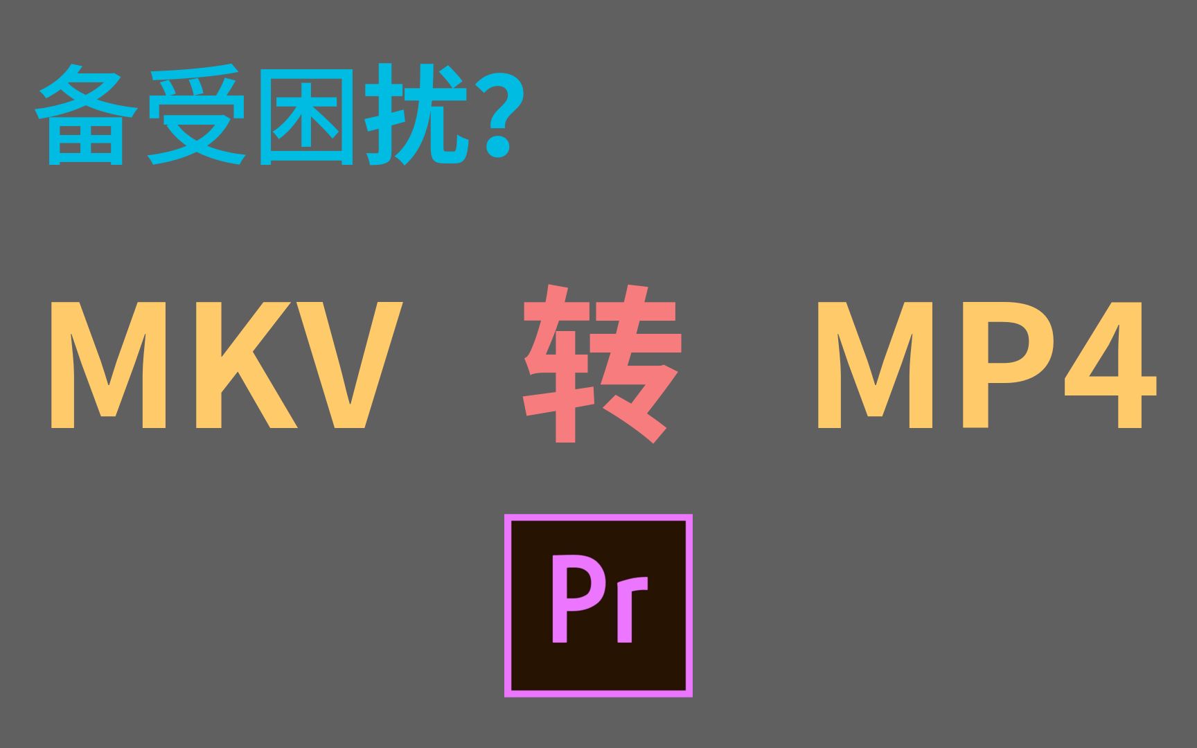 一招解决,备受PR不支持MKV格式的困扰?